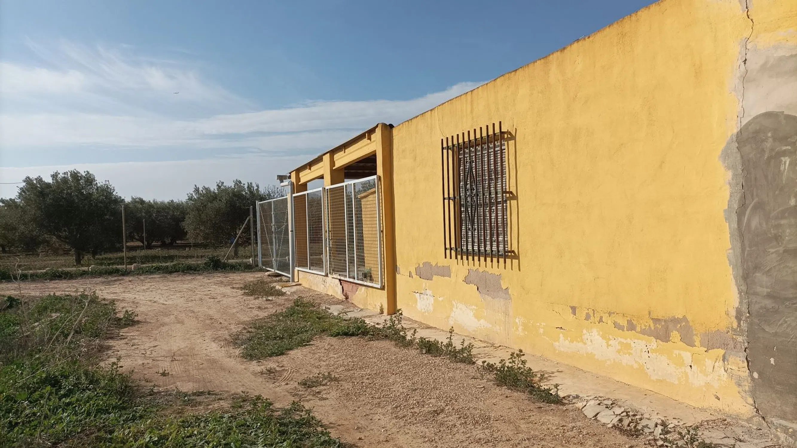 Finca rústica en venta en HUERTA MAYOR, 99 , Aspe