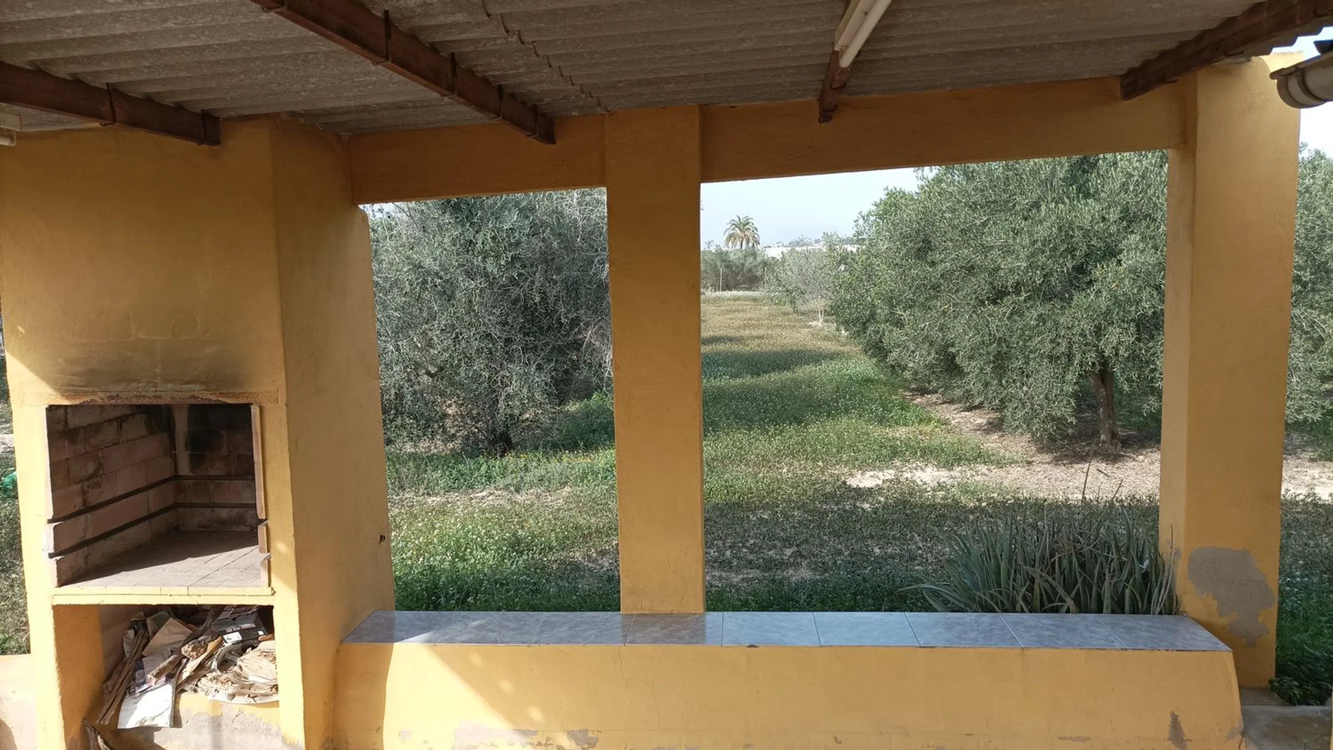 Finca rústica en venta en HUERTA MAYOR, 99 , Aspe